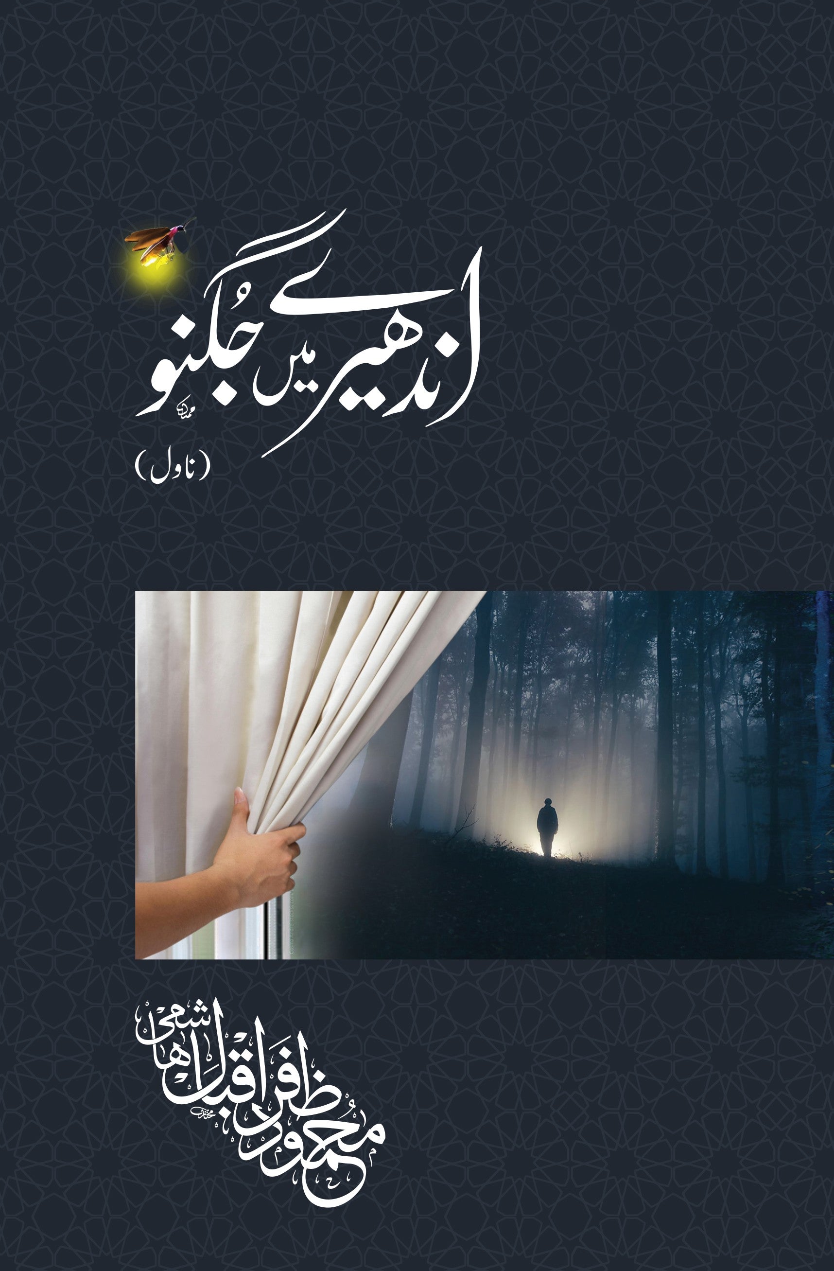 Andhairay Ma Jugnu – Sareer Publications
